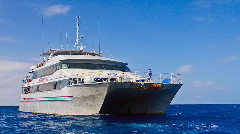 Tim Rock - 12 July - 19 July 2012 - Mike Ball Dive Expeditions