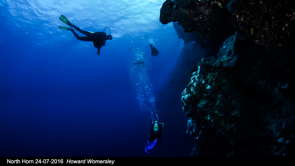 Far Northern Reefs Expedition - Mike Ball Dive Expeditions