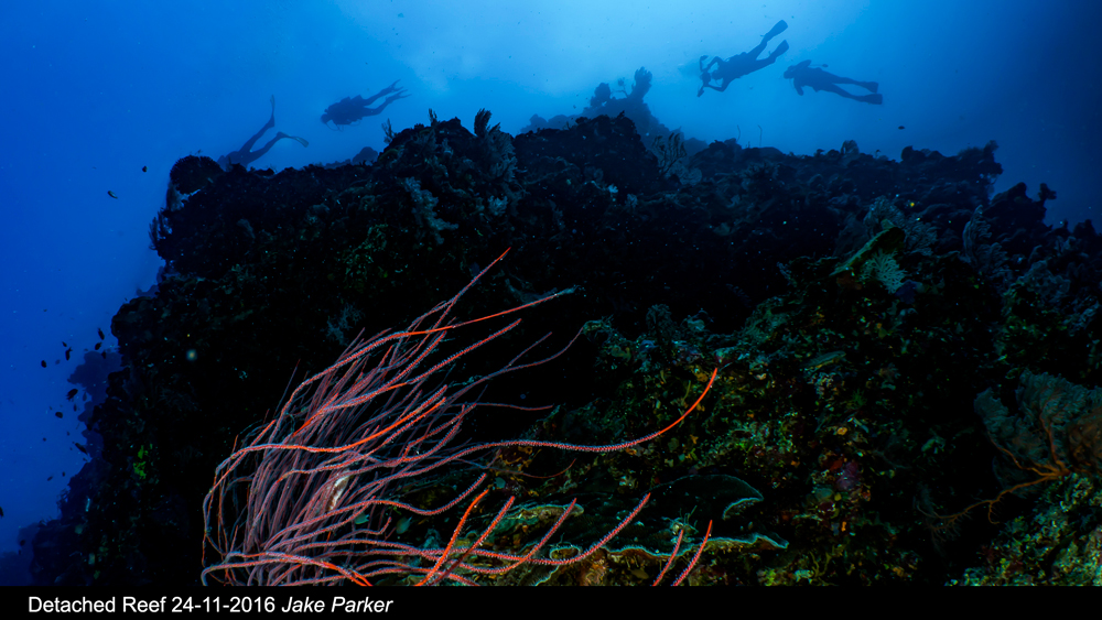 October 2017 on the Great Barrier Reef - Mike Ball Dive Expeditions