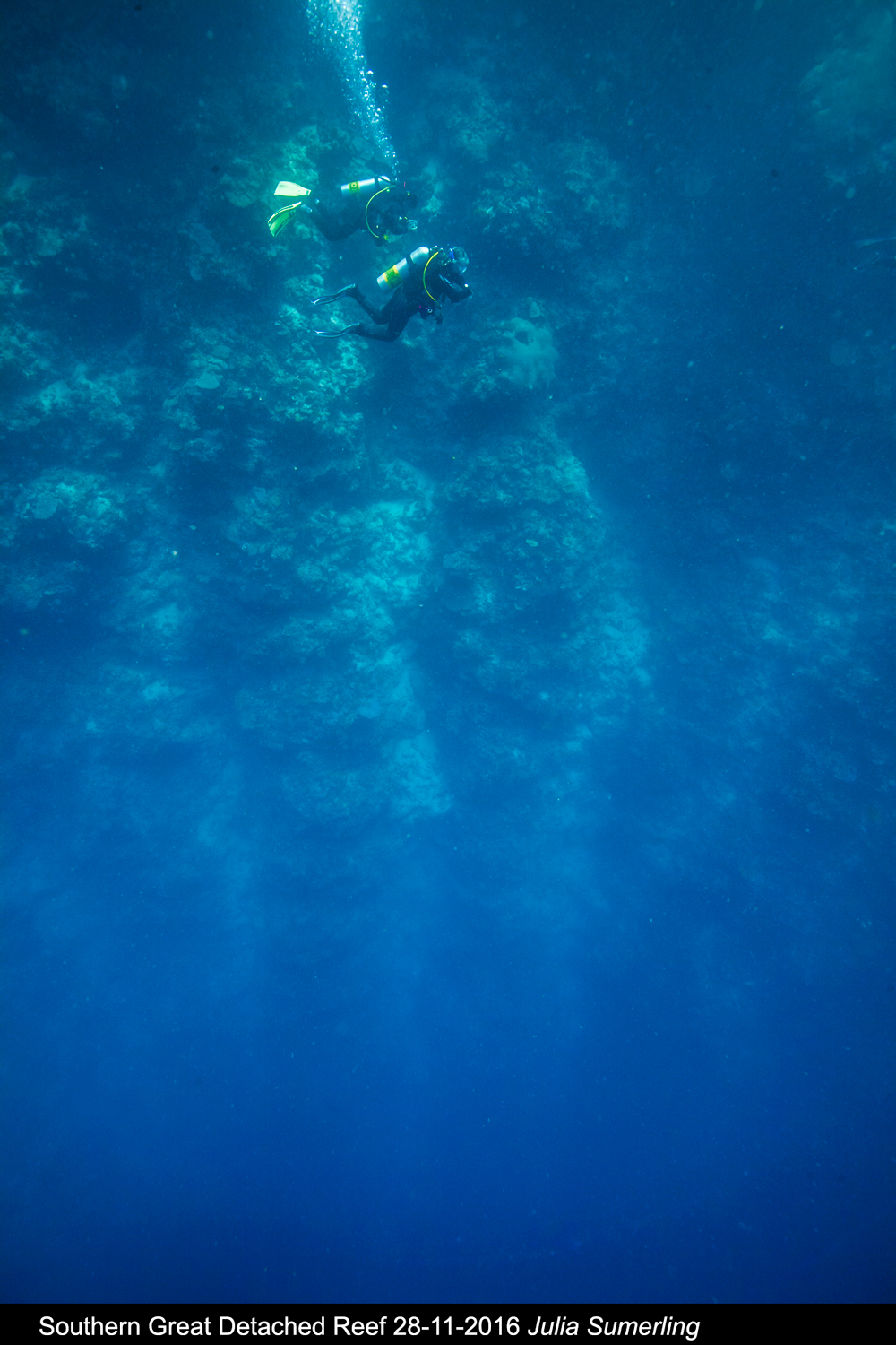 October 2017 on the Great Barrier Reef - Mike Ball Dive Expeditions